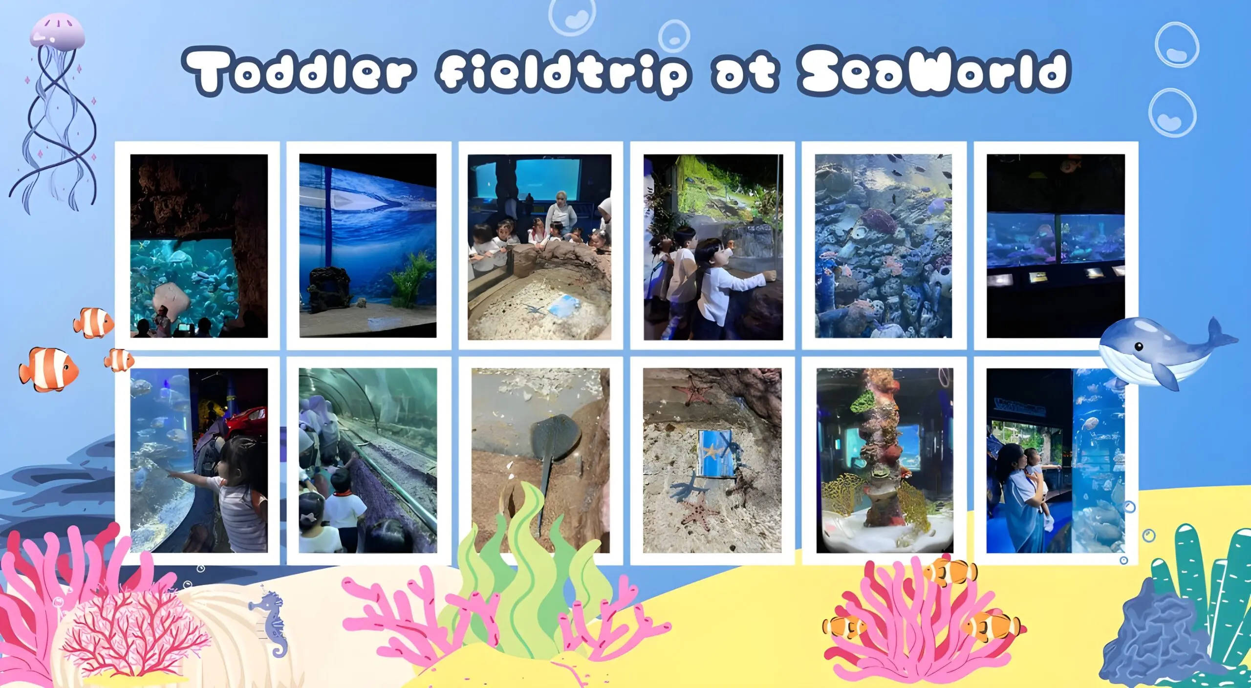 Toddler Field Trip to SeaWorld – Learning Through Play